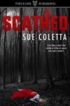 SECRETS OF WRITING BESTSELLING CRIME THRILLERS WITH SUE COLETTA - Dying ...